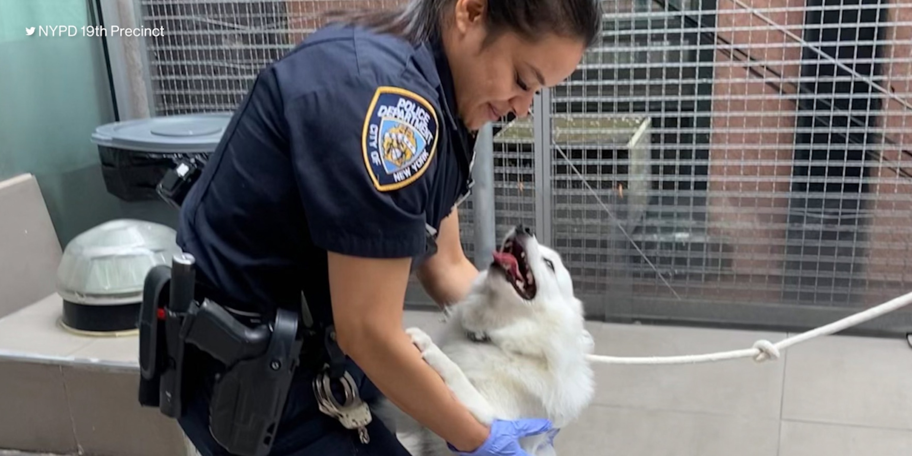 Nypd Politie Pet Politie New York Pakt Man Op Die In Metro Een