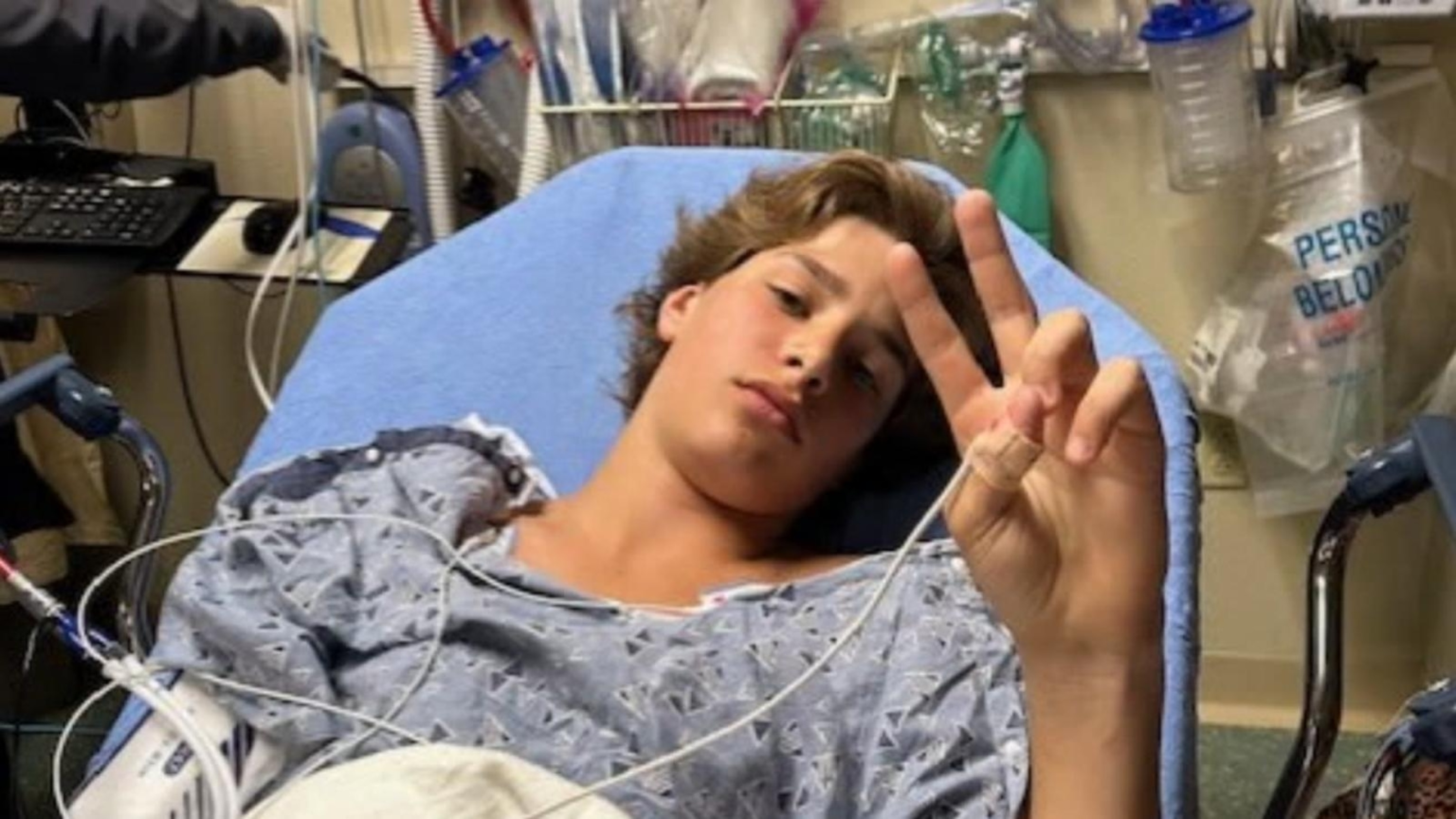 Animal Attacks - ABC News