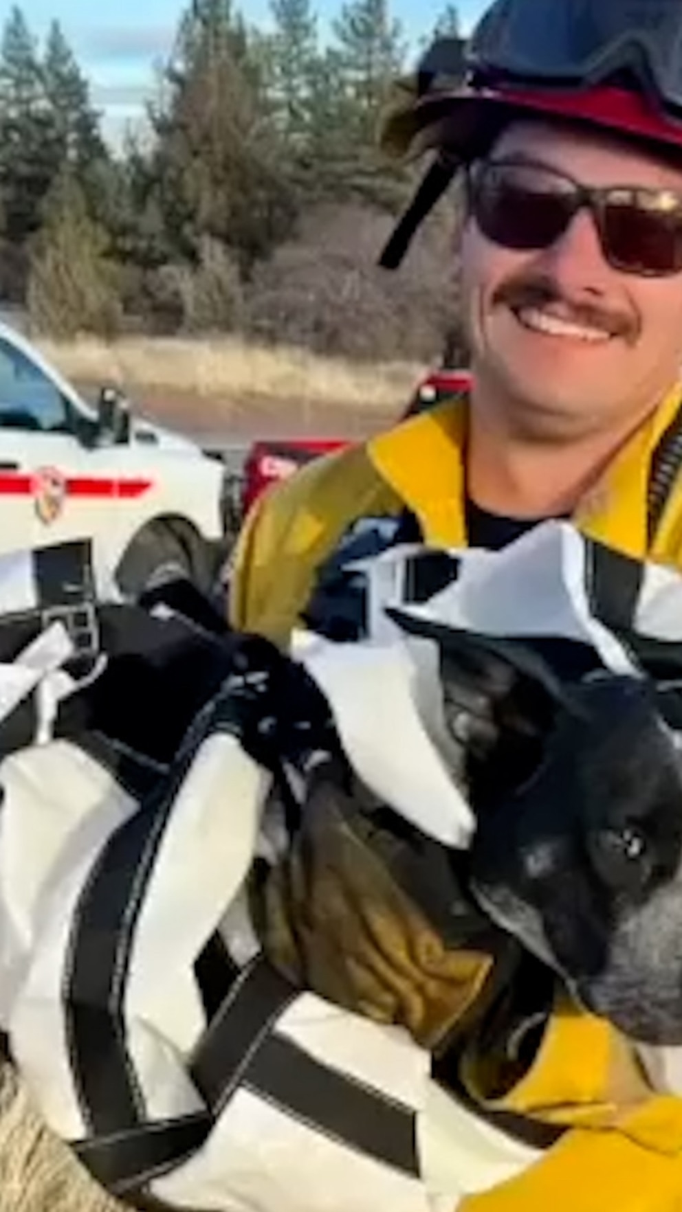 Video Firefighters save dog stranded on cliff ledge - ABC News Video Firefighters save dog stranded on cliff ledge - ABC News