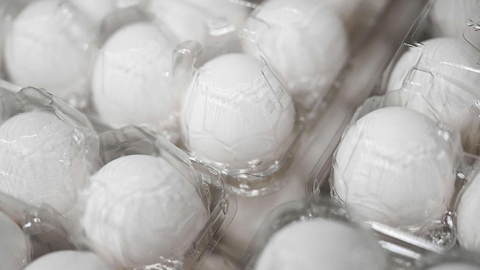 How long eggs stay fresh, tips to store them and how to check if eggs ...