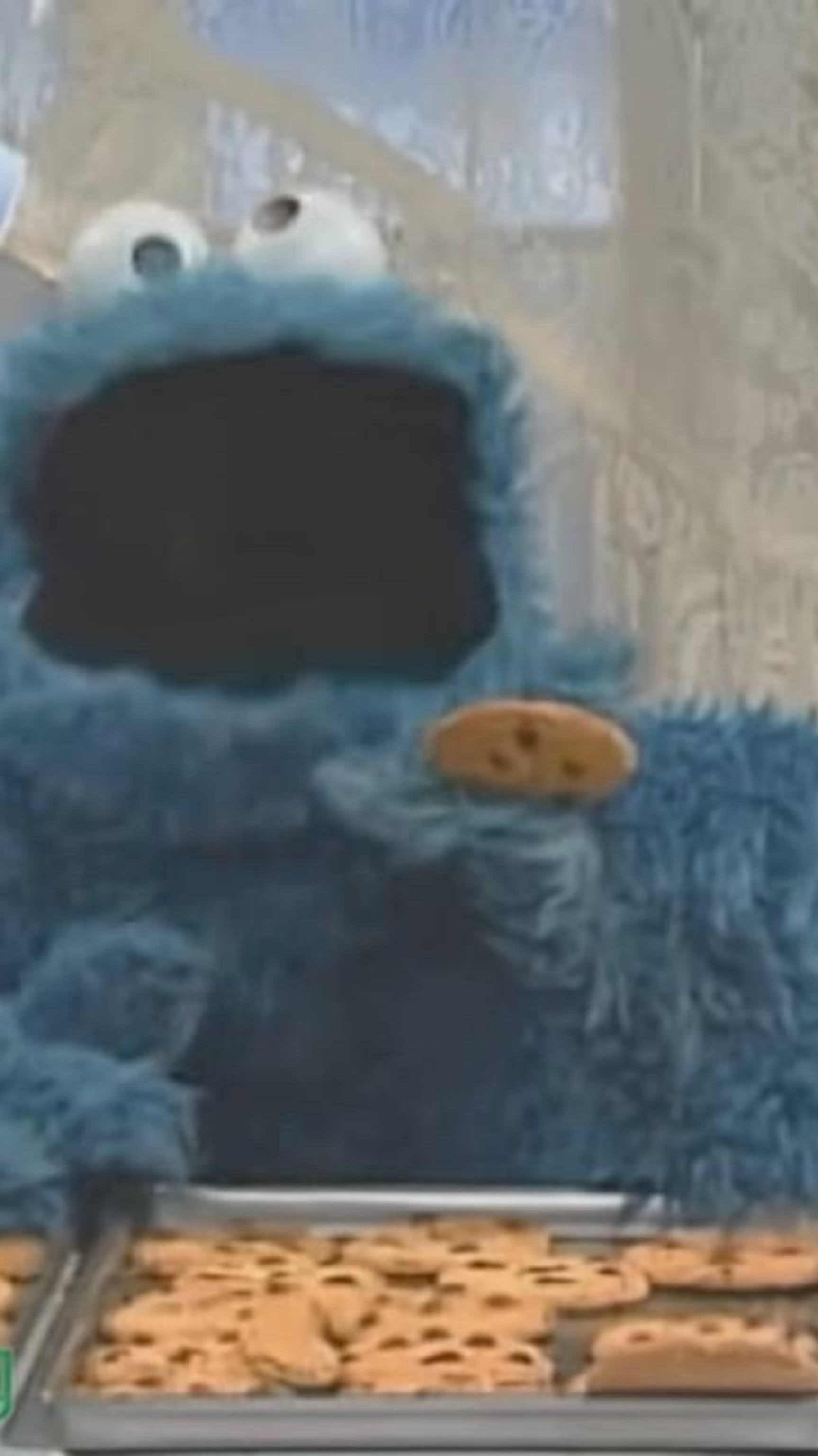 Cookie Monster Eating Cookies