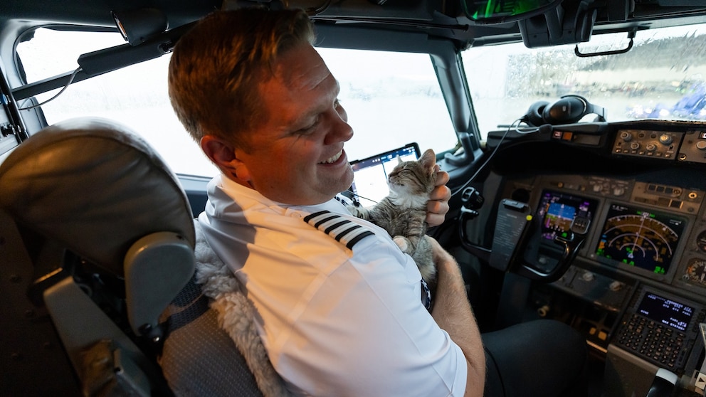 Pilot adopts kitten after flying shelter pets out of Hurricanes Milton ...