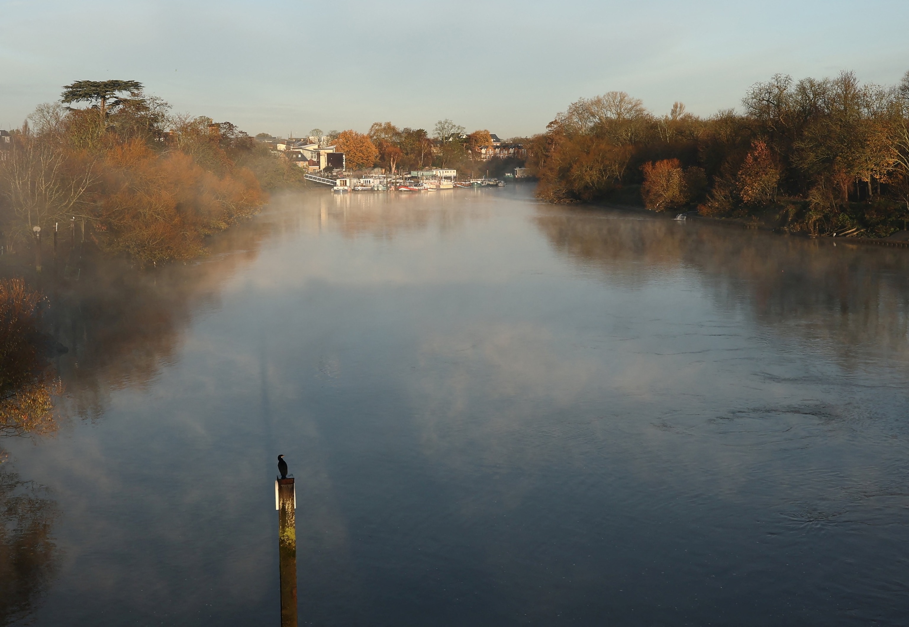 Amid sewer infrastructure project, Thames fishermen hope for revival of ...