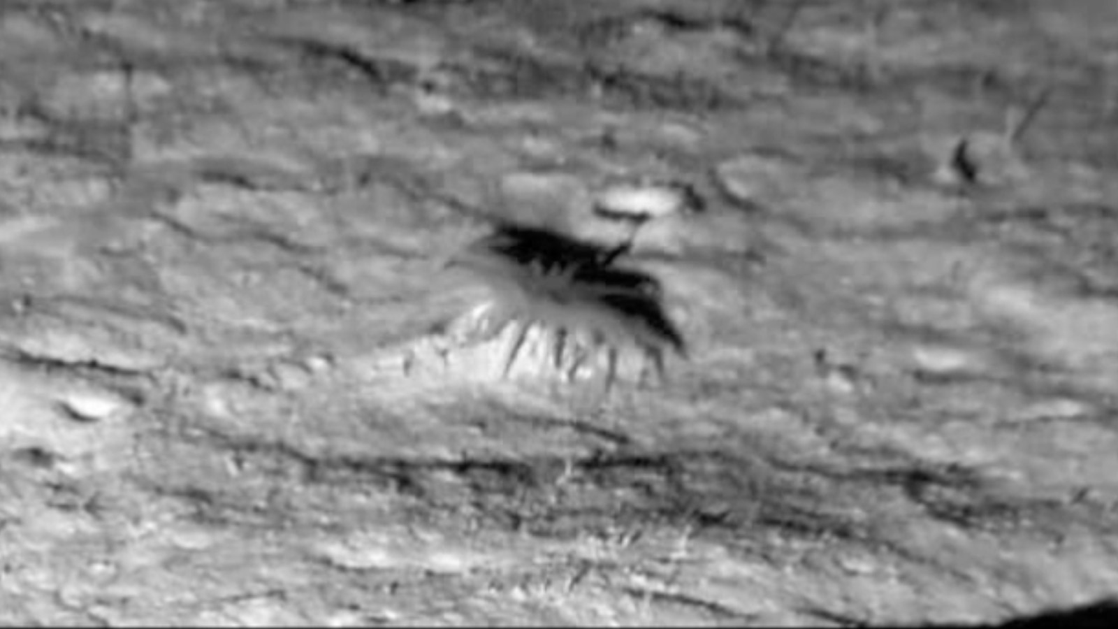 Underwater camera captures elusive tentacled creature 3 miles below ...