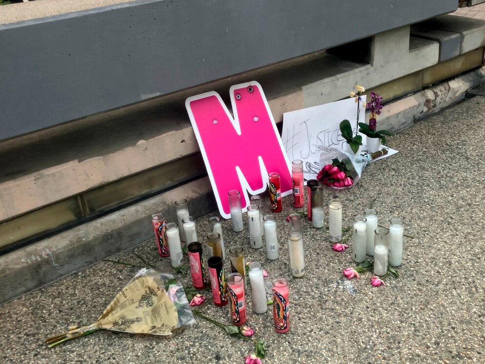 Man arrested for grisly murder of aspiring model in Los Angeles: Police ...