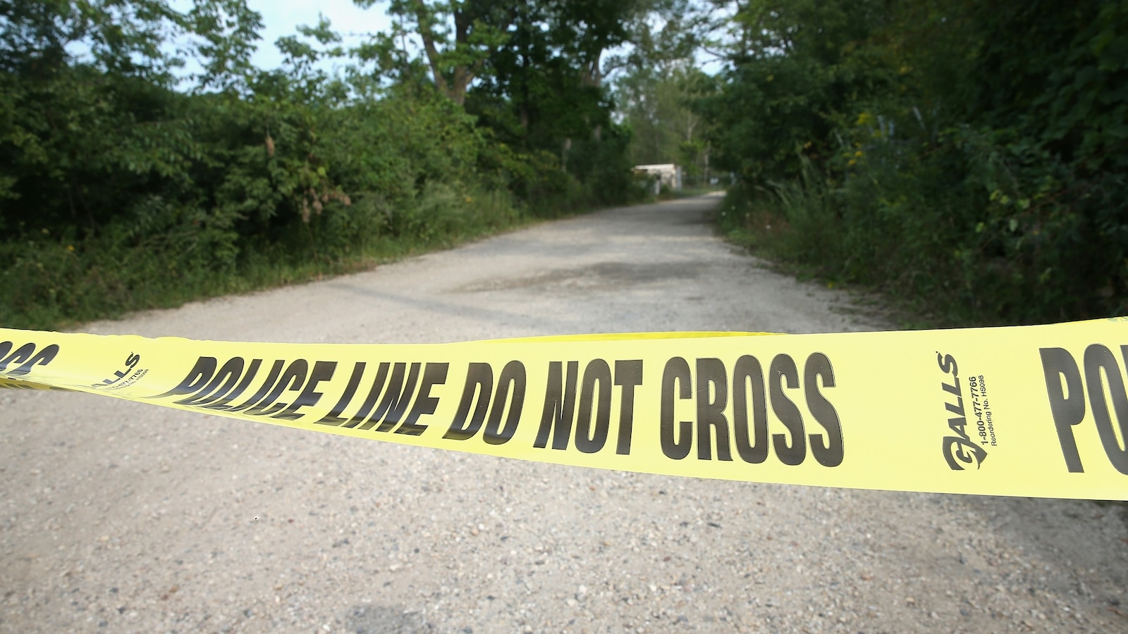 Man dies in suspected bear attack at Arkansas campsite: Officials - ABC ...