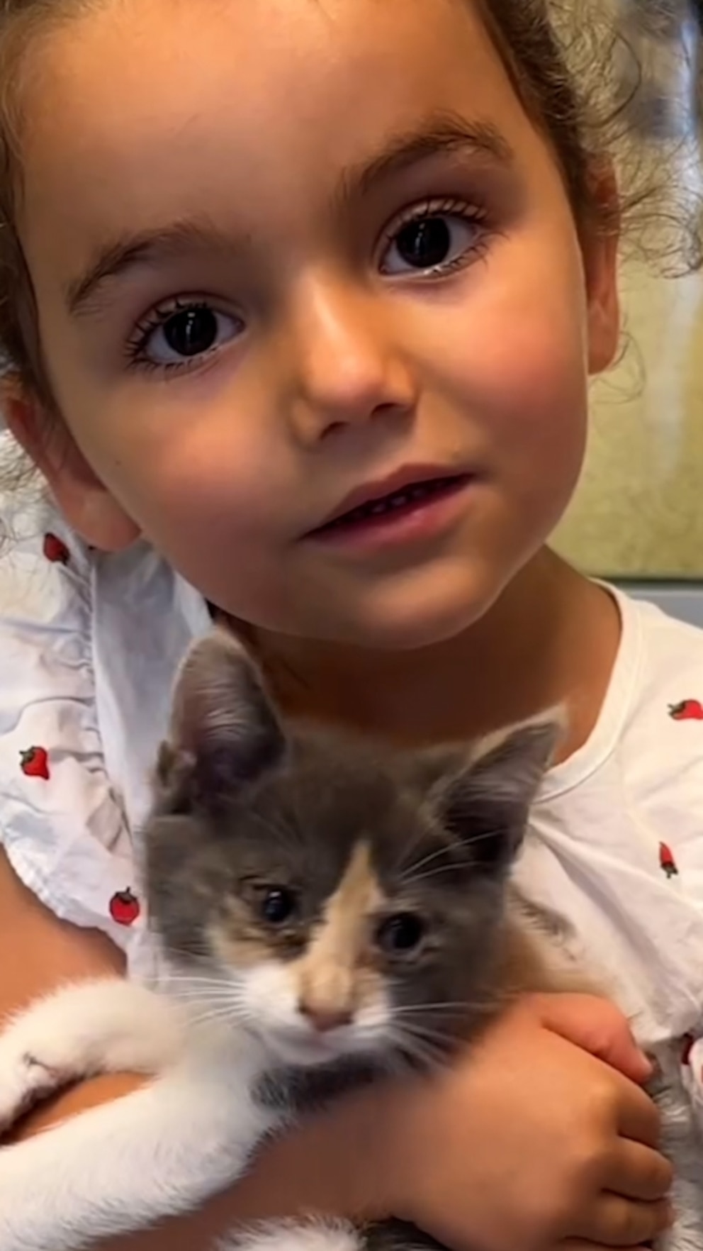Video 3-year-old chose the sick kitten at the shelter. Now they sleep together nightly - ABC News