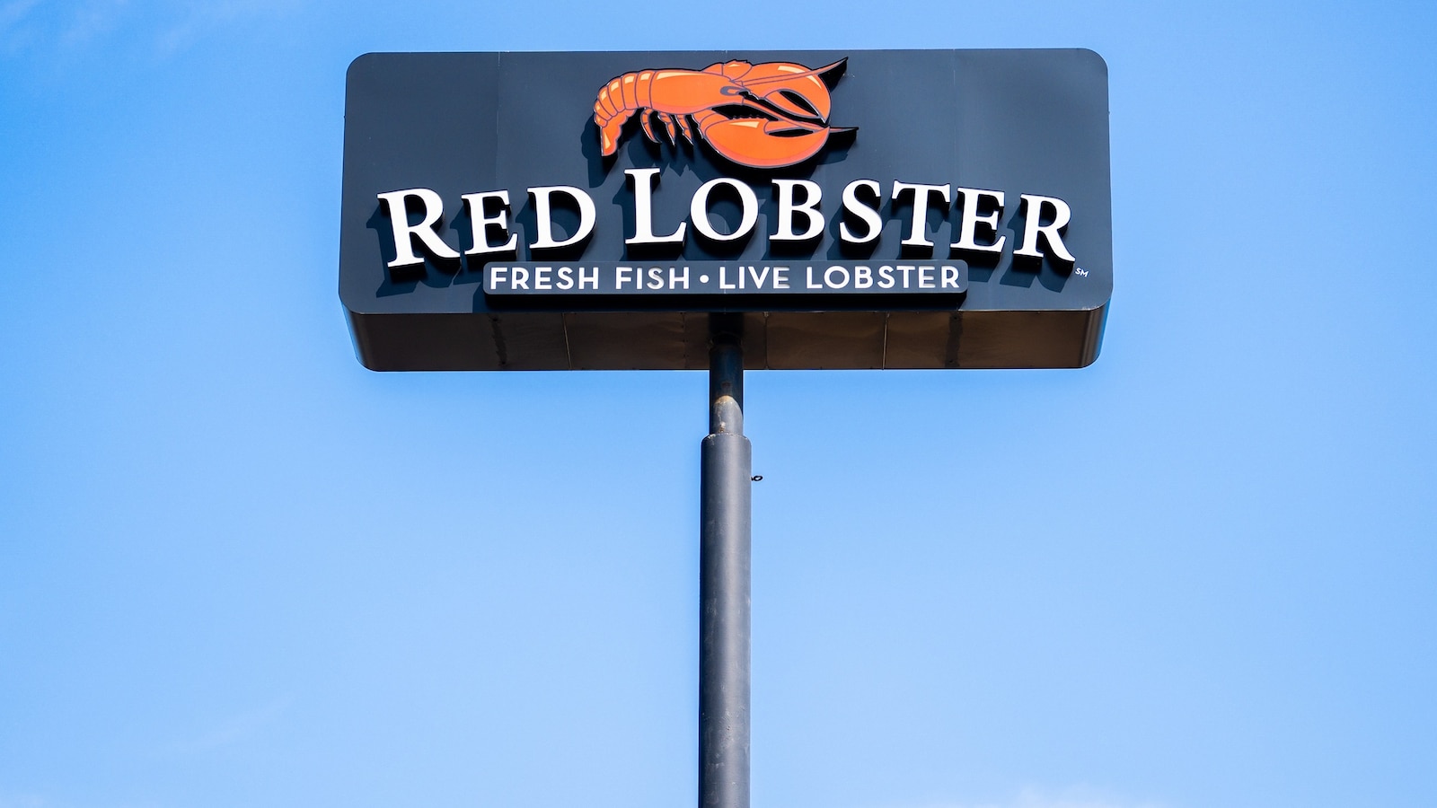 Red Lobster CEO reveals fate of endless shrimp deal, says tariffs won't ...