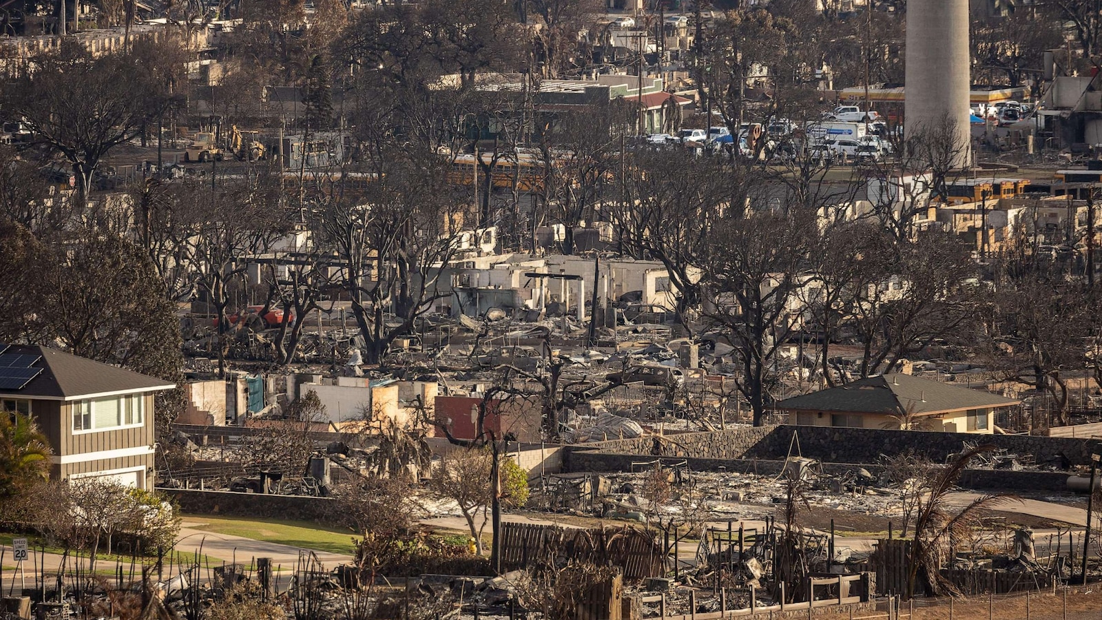 Hawaiian Electric shares plummet 40% after Maui wildfires lawsuit - ABC ...
