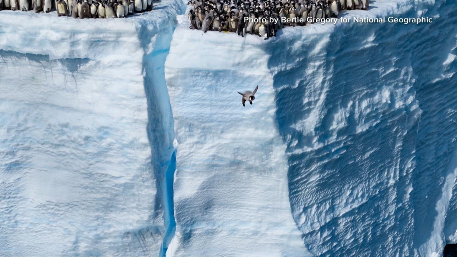 Beste Fotos Von 2024 National Geographic