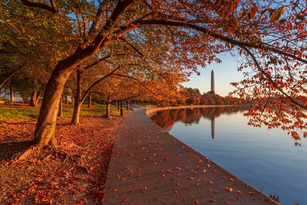When regions around the US will see peak fall foliage - Good Morning ...