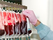 Red Cross Announces Emergency Blood Shortage Calls On Americans To
