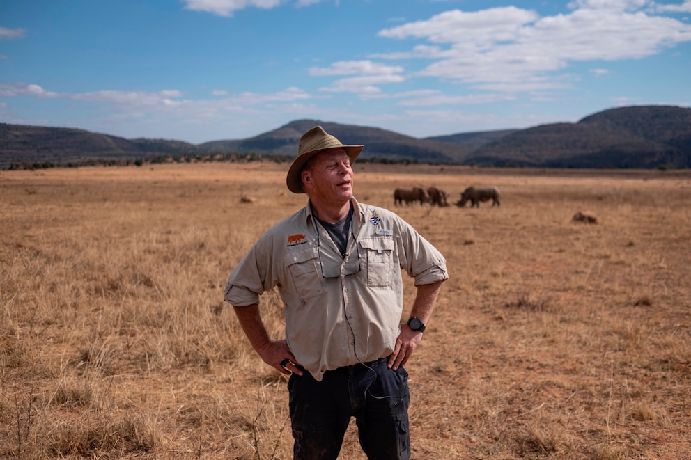 Radioactive material inserted into Rhino horns in anti-poaching project ...