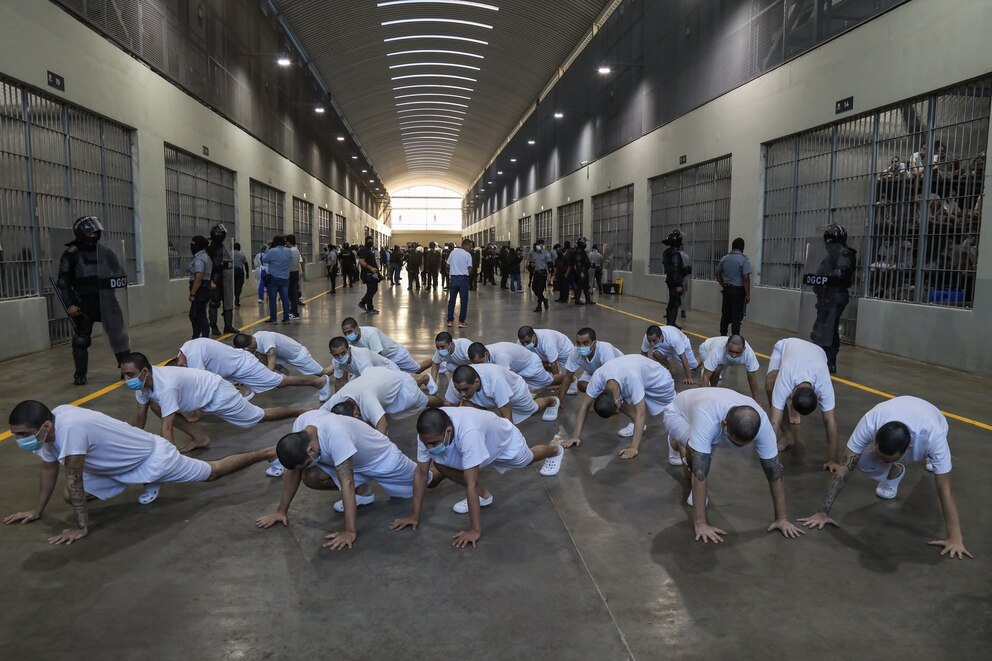 Federal judges block deportation of several alleged migrant gang ...