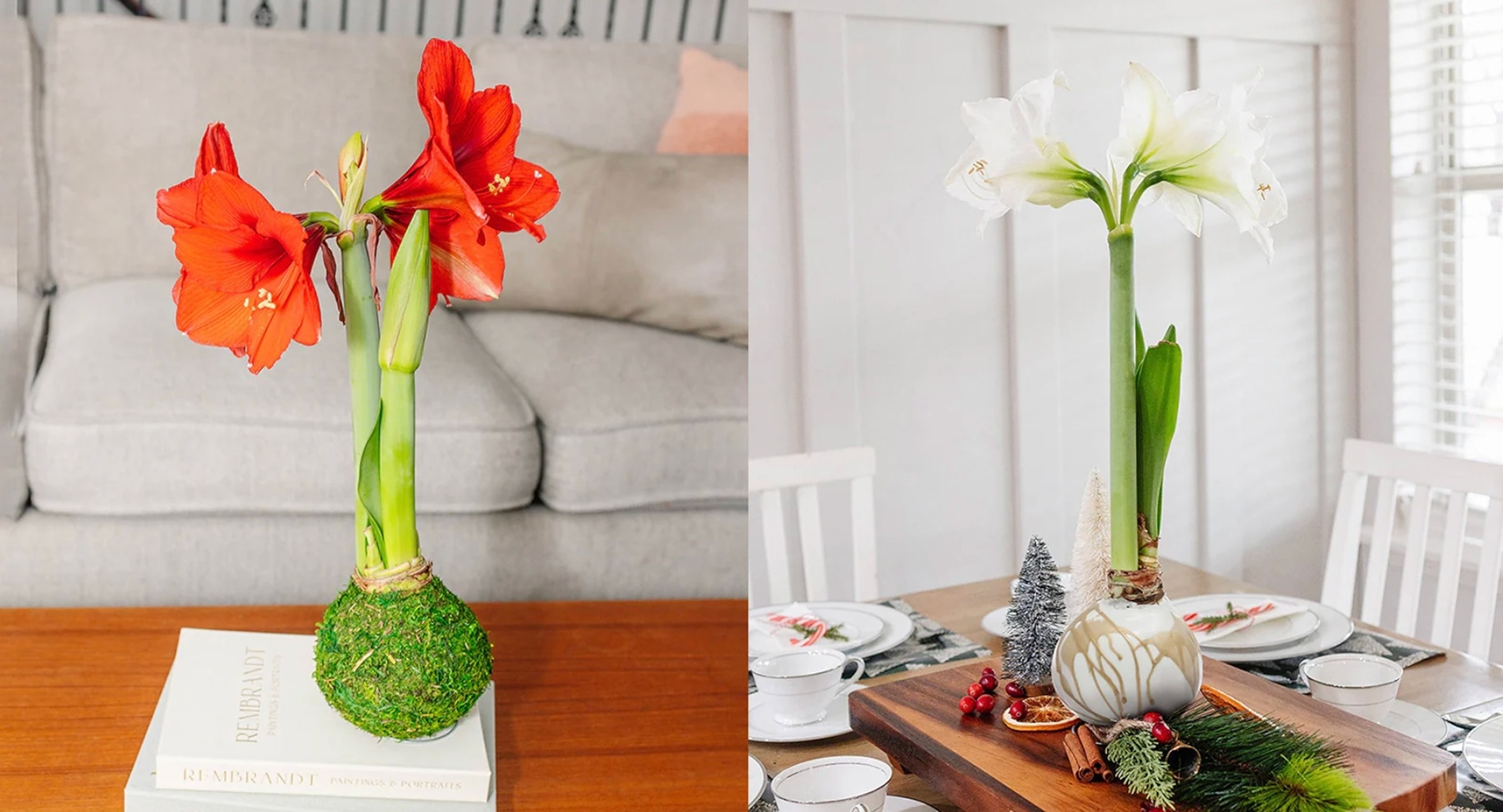 ABC Secret Savings on gifting - ABC News