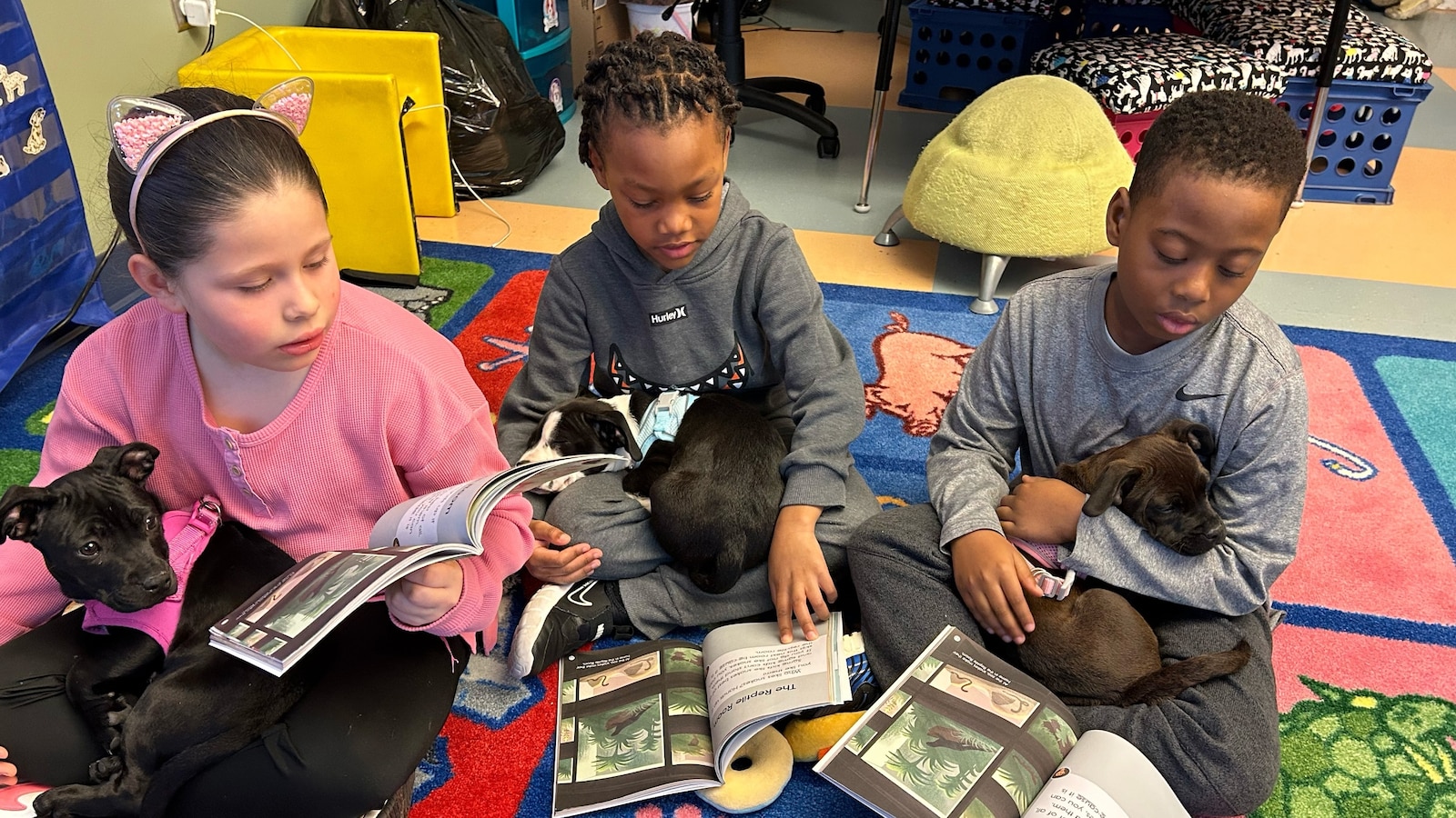 Teacher's puppy therapy program encourages 1st graders to read - ABC News