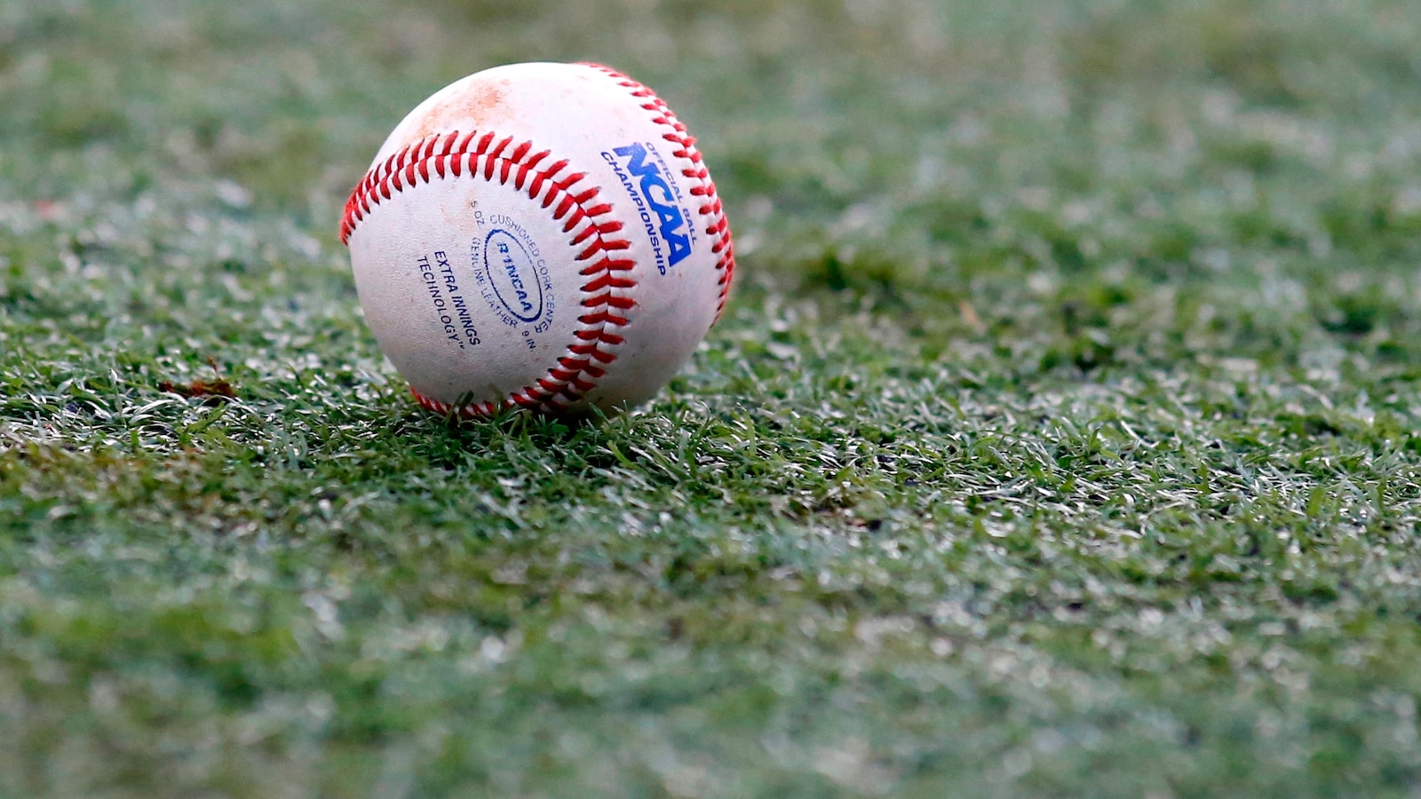 UCLA earns No. 1 seed for NCAA baseball tournament ahead of offensive ...