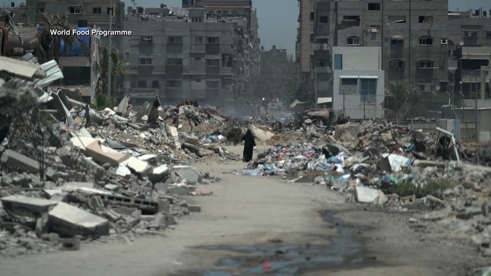 Video Growing concerns over humanitarian crisis in Gaza - ABC News Video Growing concerns over humanitarian crisis in Gaza - ABC News