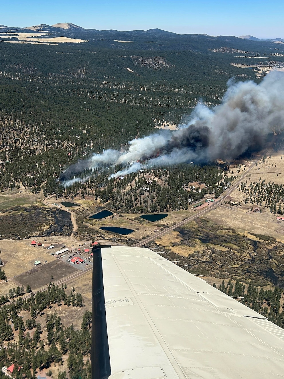 Arizona's Greer Fire explodes to more than 7,000 acres, evacuation area ...