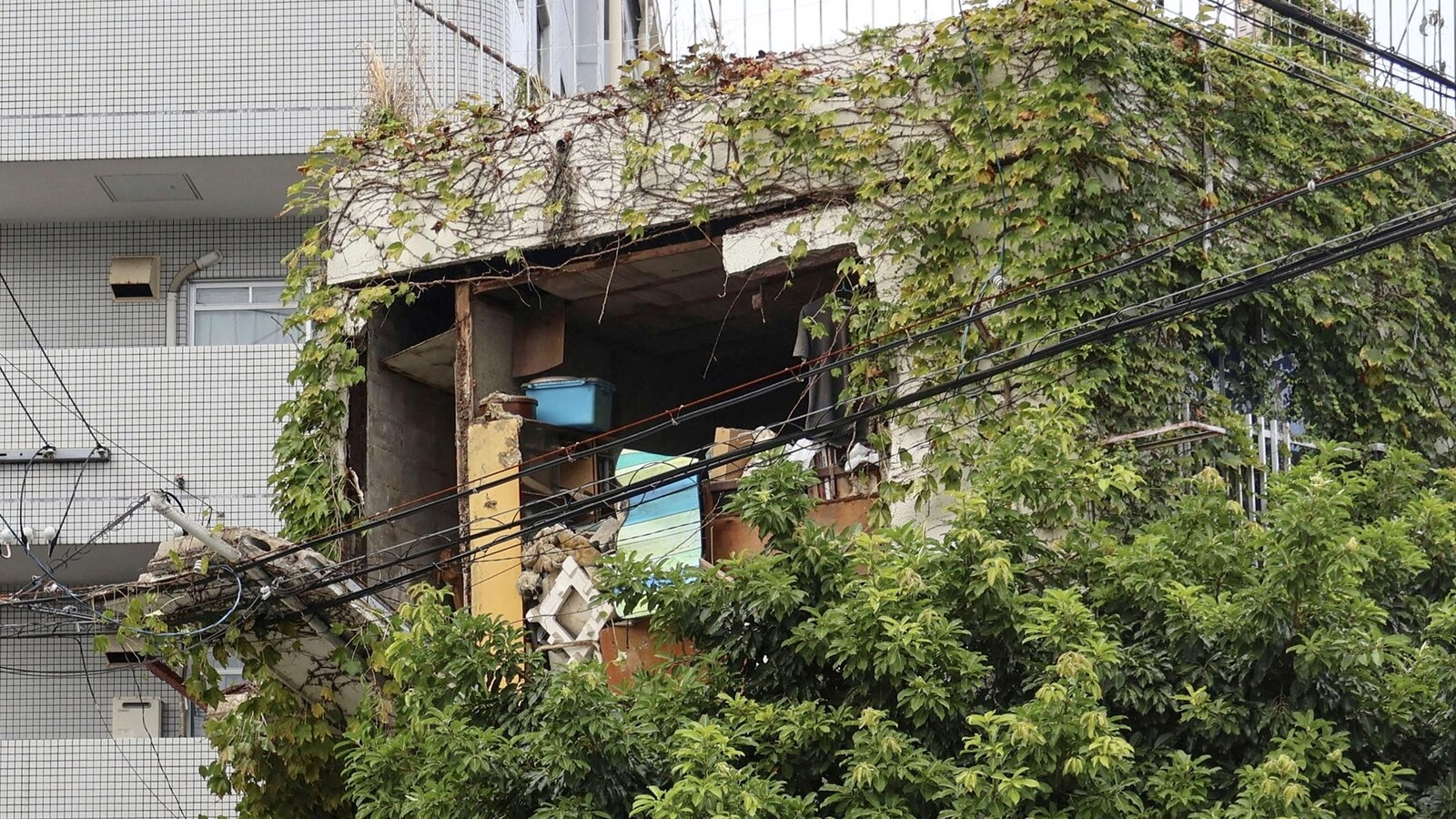 Strong earthquake with preliminary magnitude of 7.1 strikes coast of ...