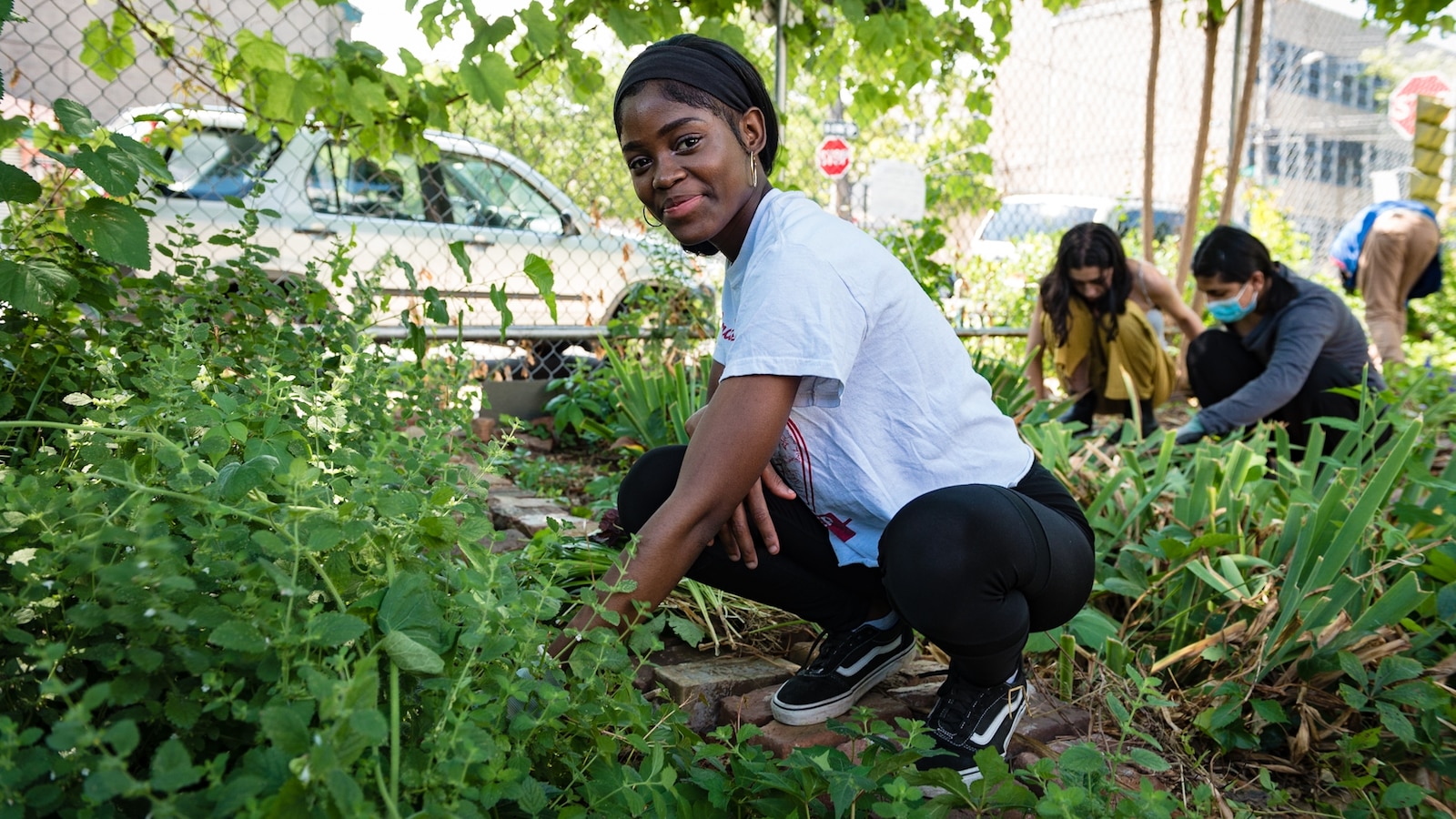 Students of color in New York City learn how to forage and grow their ...