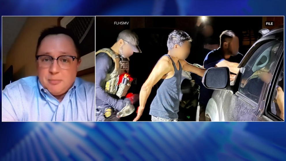 Video Former ICE chief calls federal agency's goals under trump admin ...