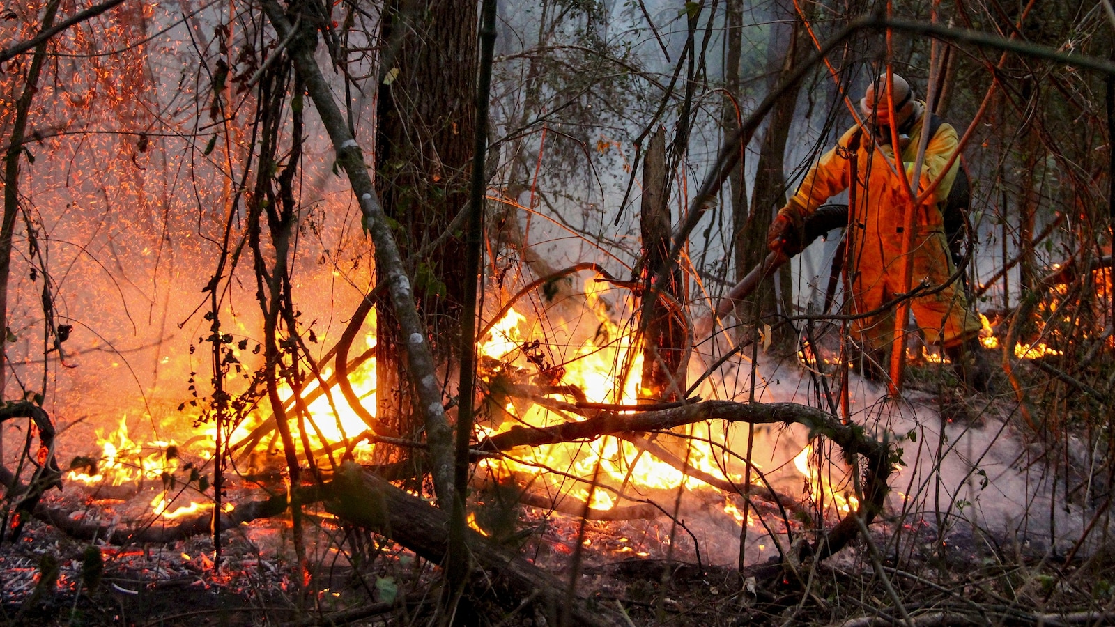 Brazil experiencing record-breaking wildfires as persistent drought ...