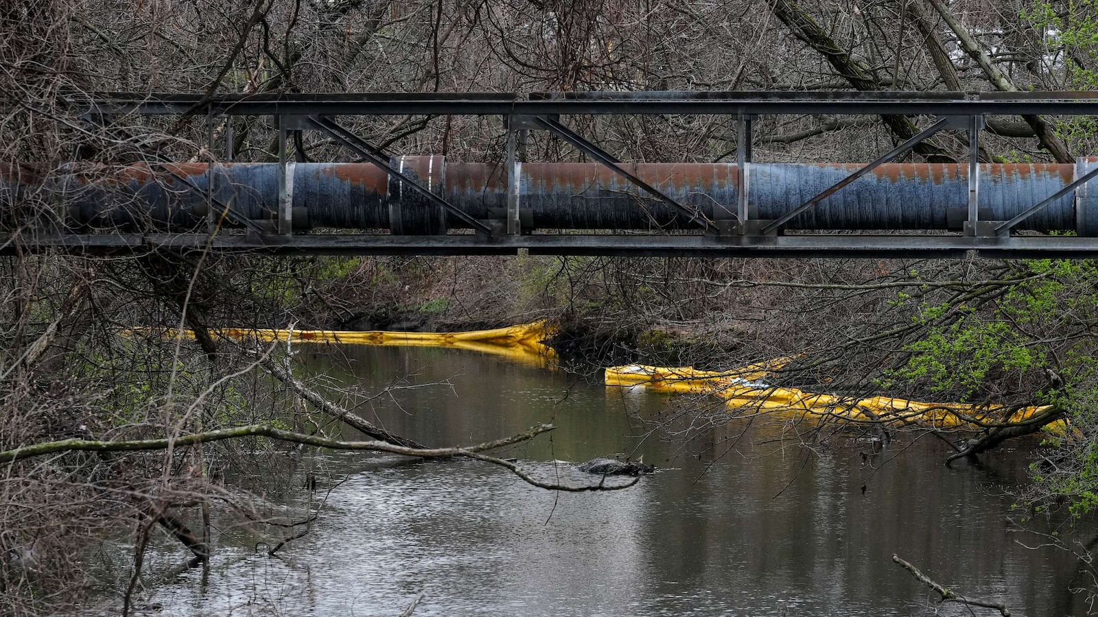 Philadelphia water 'safe to drink and use' after nearby chemical spill ...