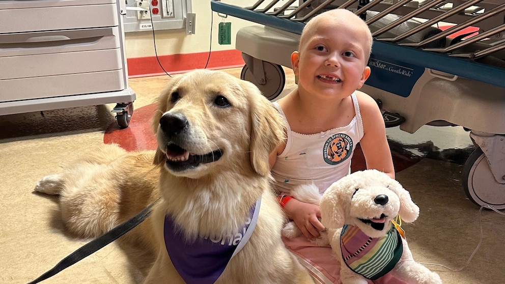 Golden retriever therapy dogs 'bring so much light' to young girl with ...