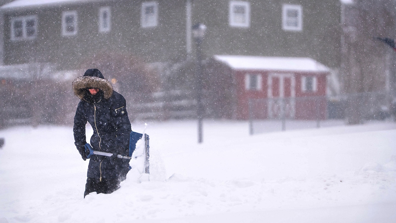 US experienced its 2nd warmest winter on record despite a cold and ...