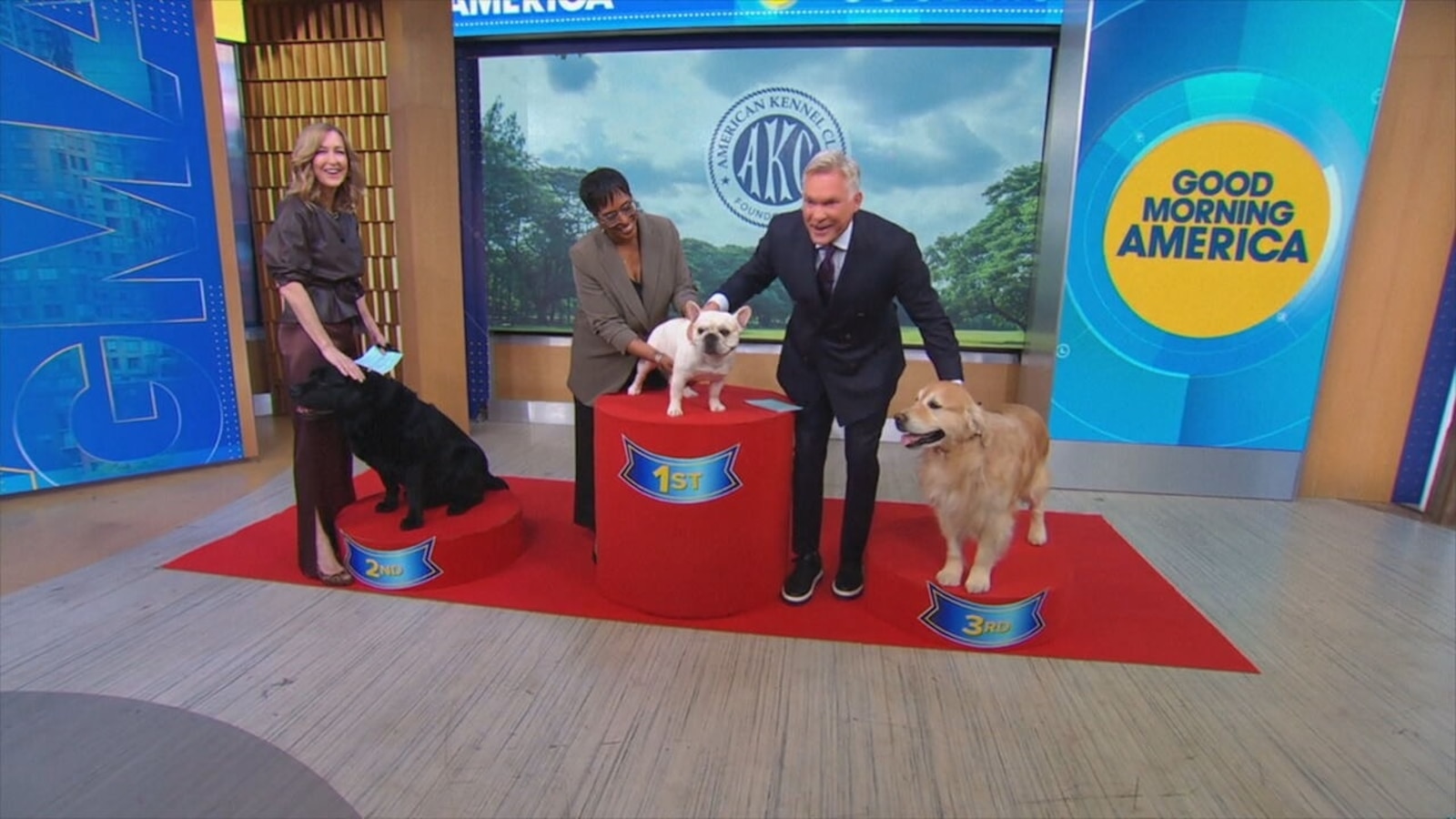 AKC reveals top 3 most popular dog breeds of 2024 - ABC News