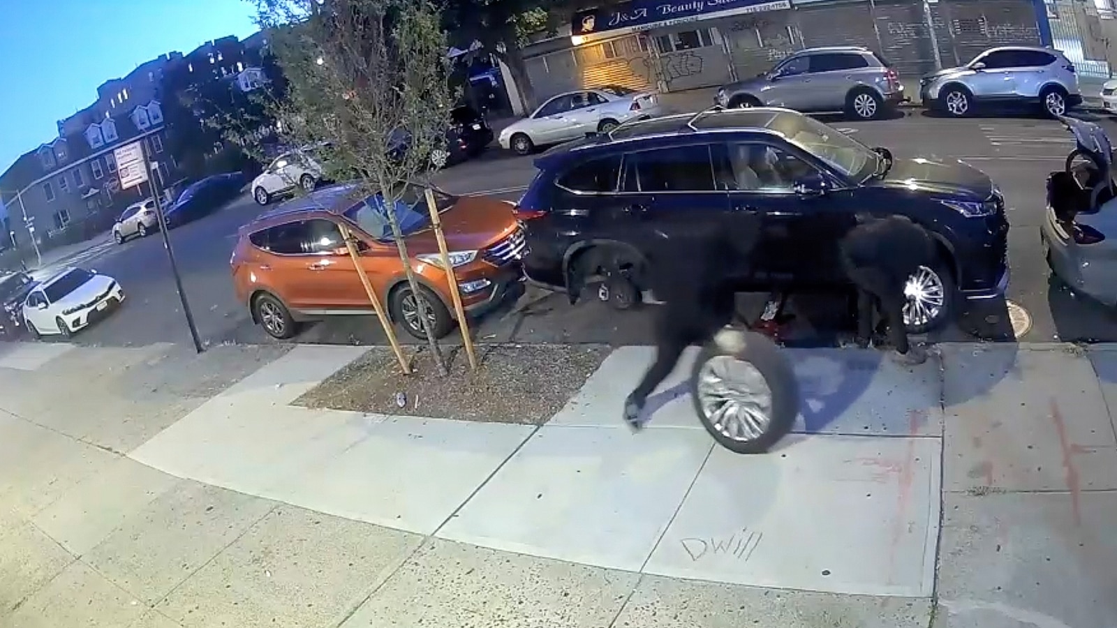 'Pit crew' car thieves arrested following over 250 Bronx heists: New ...
