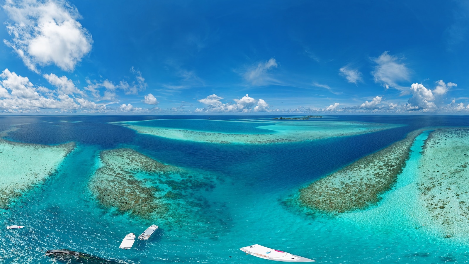 Bodies of 4 remaining divers located in Maldives, divers network says ...