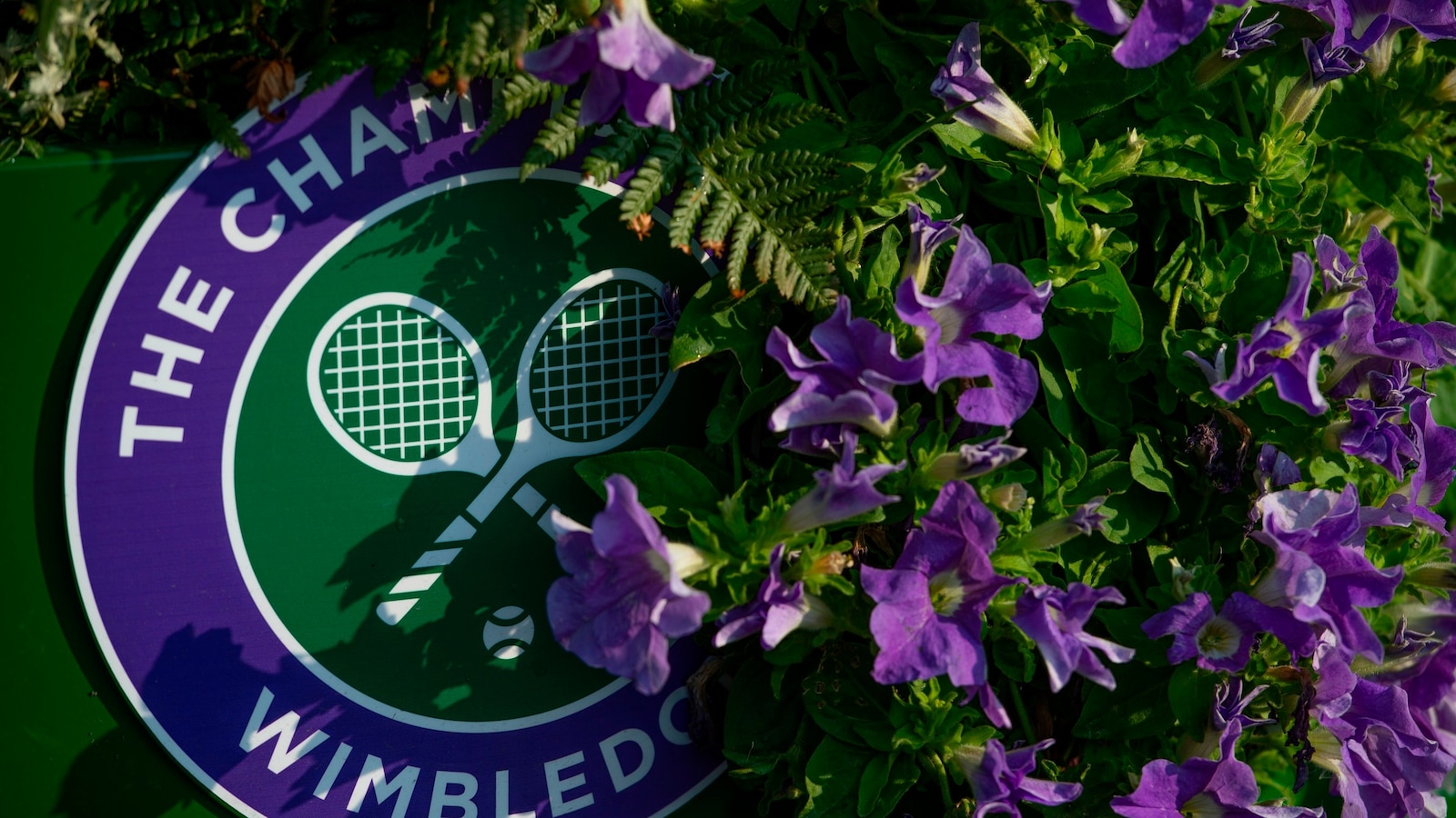 'Christmas in July': Wimbledon's evolution as a lifestyle brand proves ...