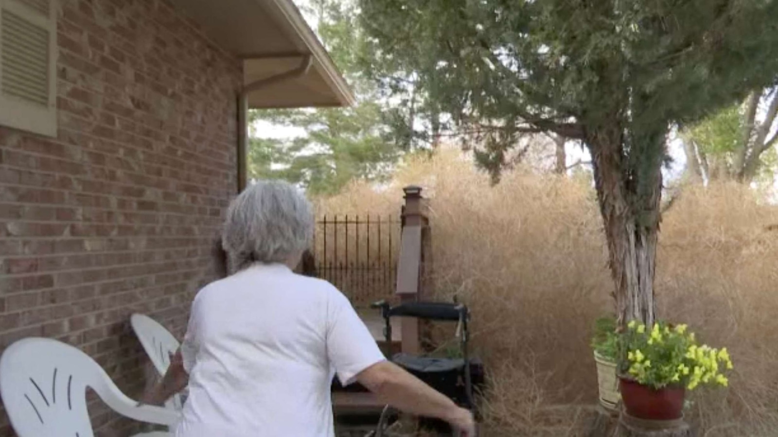 Tumbleweeds take over Colorado couple's property: 'Like a horror movie ...