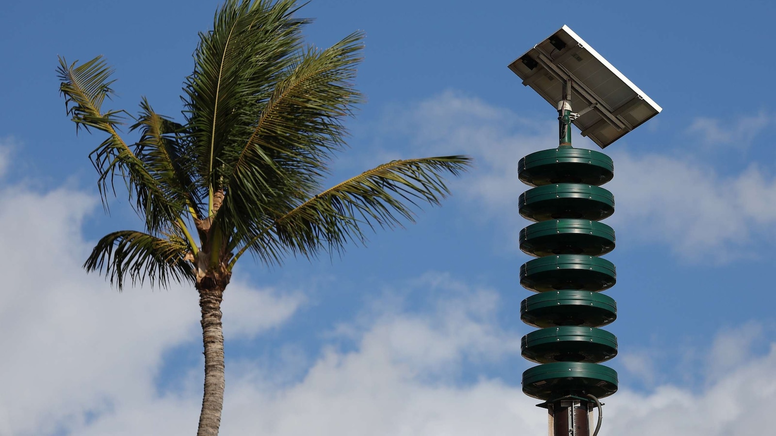 Tsunami Warning Siren 41 Tsunami Warning Siren Stock Photos, High Res