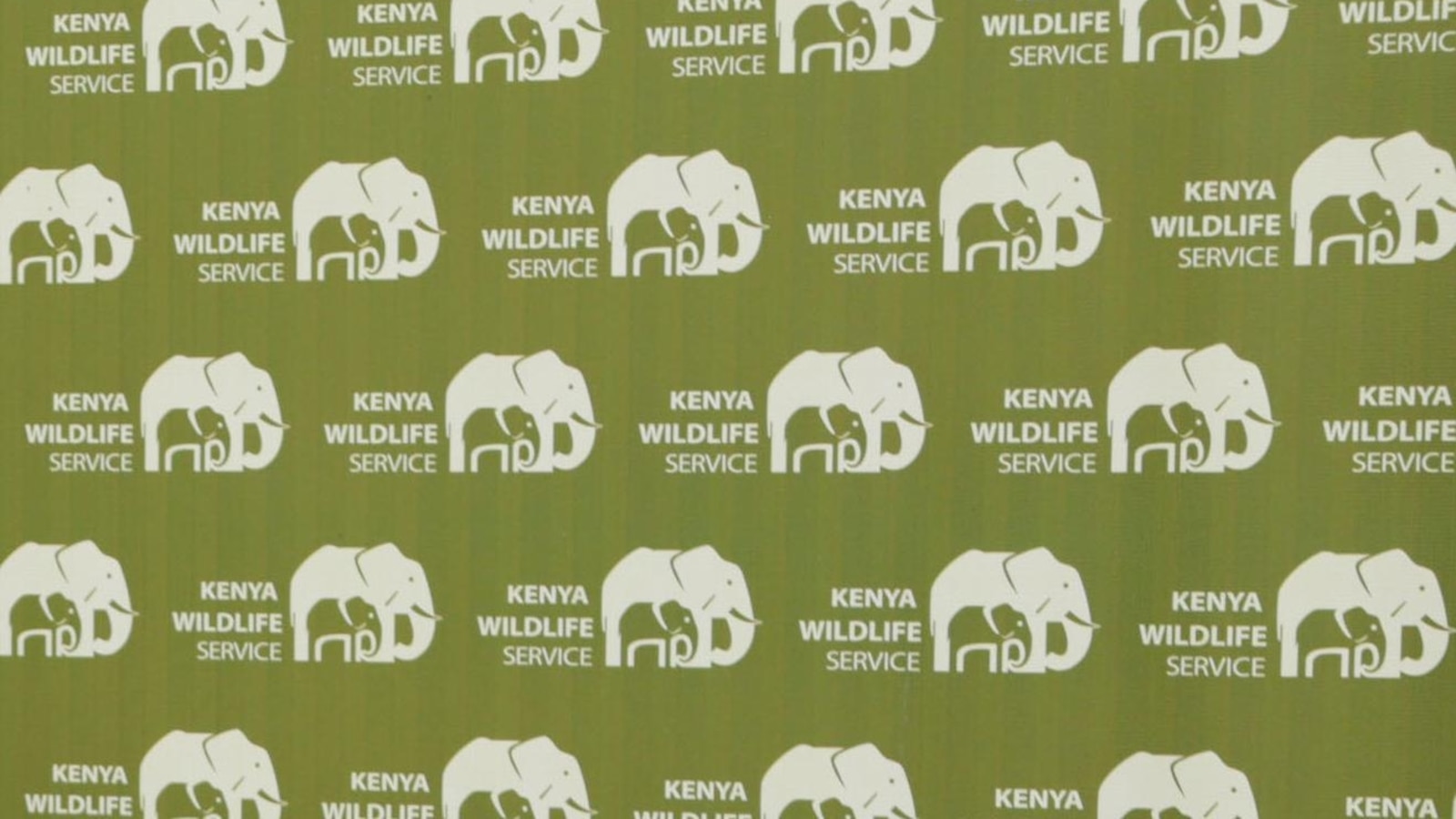 Kenyans protest after roaming elephants kill four people in a week ...