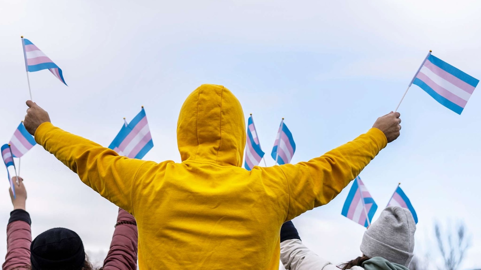 Gender-affirming care for trans youth improves mental health: Study ...