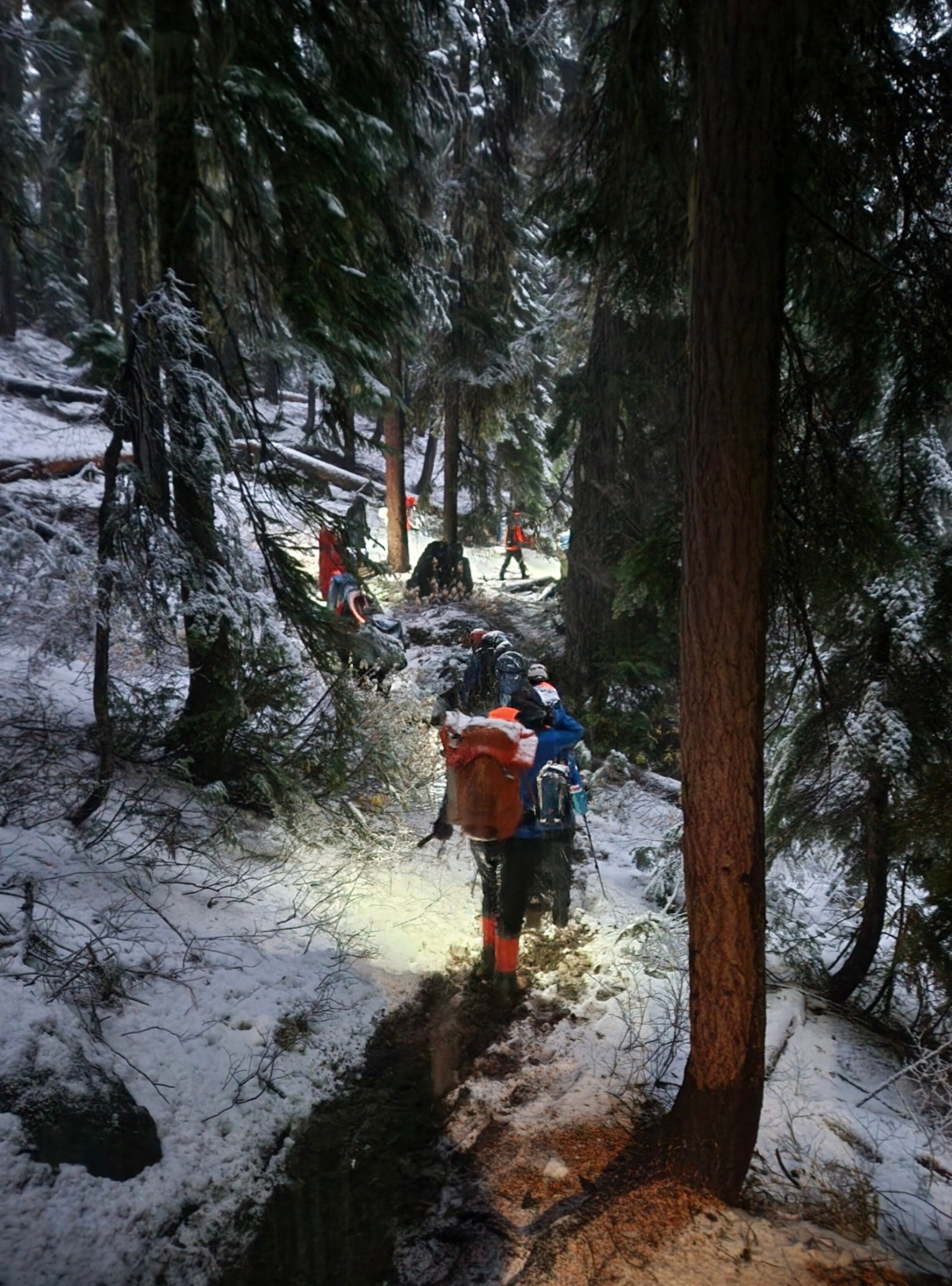 Washington rescuers climb through 5 miles of snow to save stranded hikers: Sheriff - ABC News