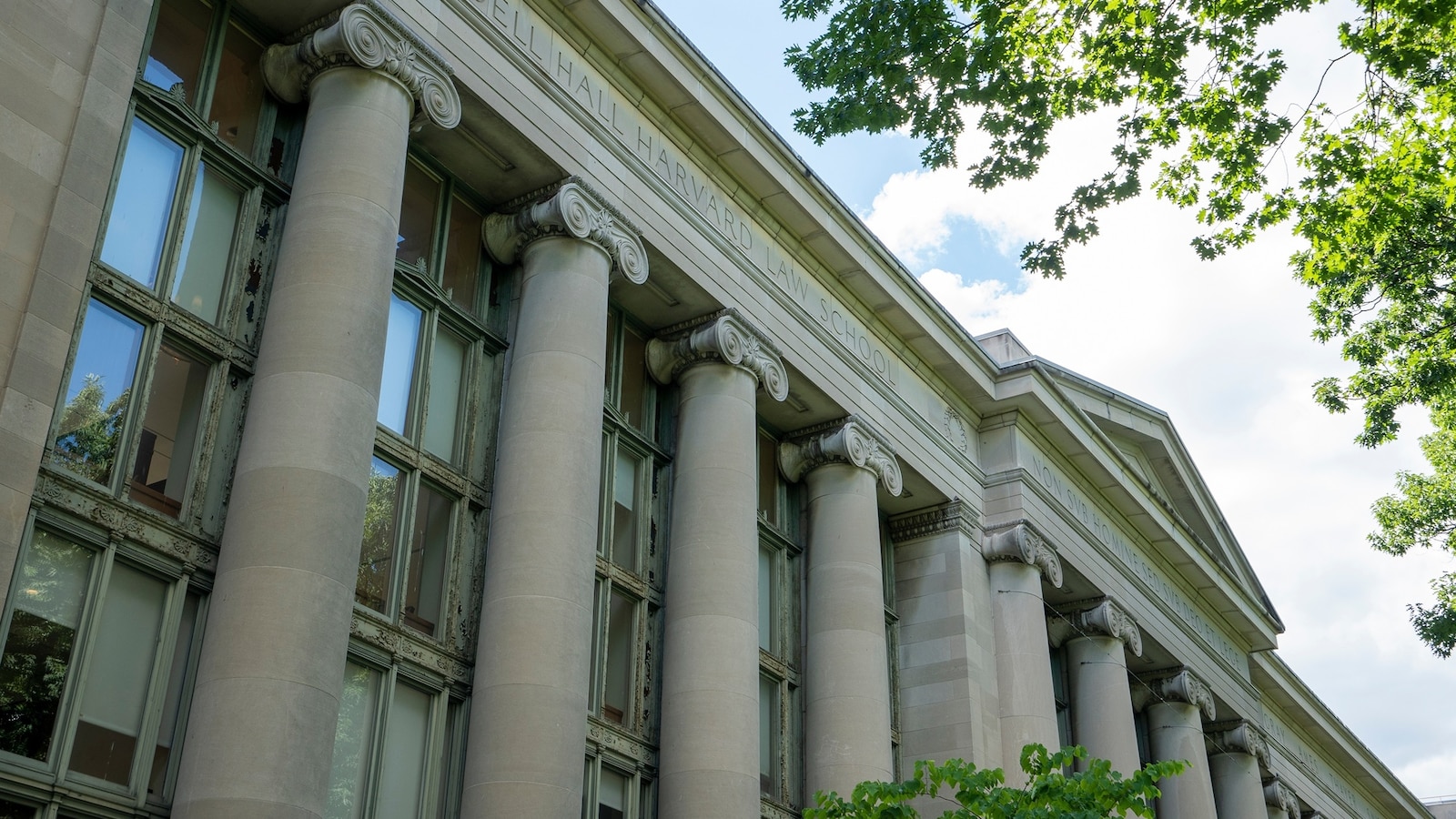 Steep decline in Black, Hispanic enrollment at Harvard Law after ...