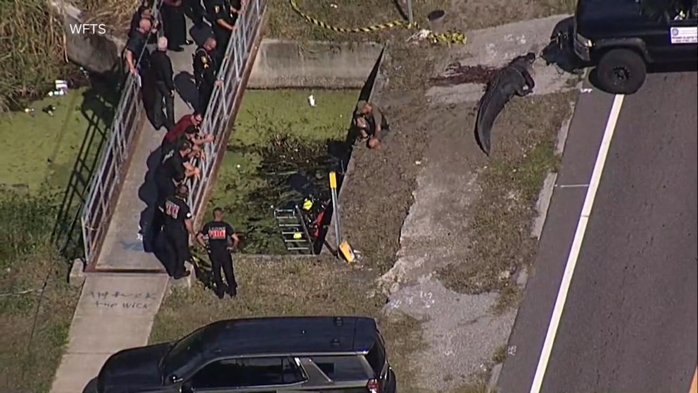 Video Woman Killed By Gator Attack Abc News
