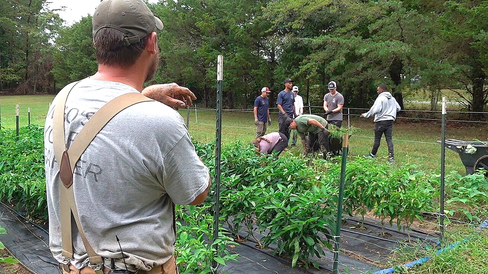 Army veteran's nonprofit aids former vets facing food insecurity - ABC News