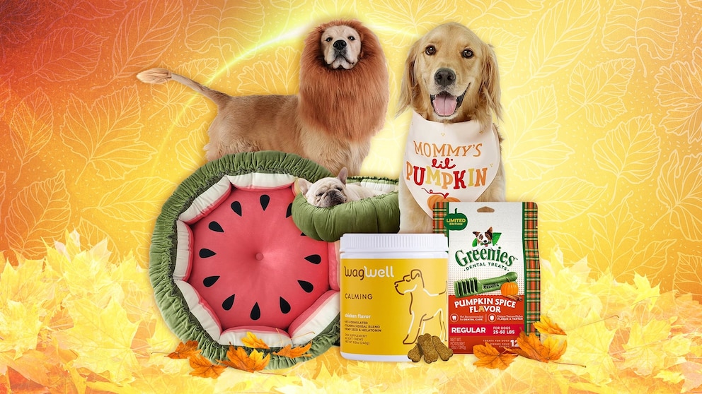 Dog toys, treats, cooling mats, beds and more to help your pup live a ...