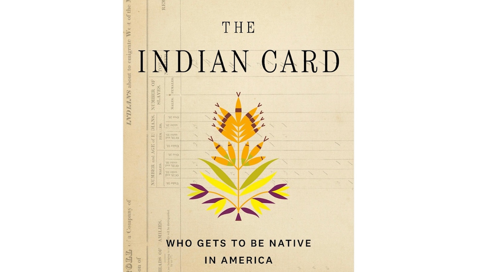 'The Indian Card' reveals the complexities of claiming Native identity ...