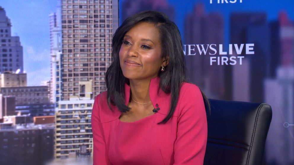 Video 'What You Need to Know' expands on Disney+ - ABC News