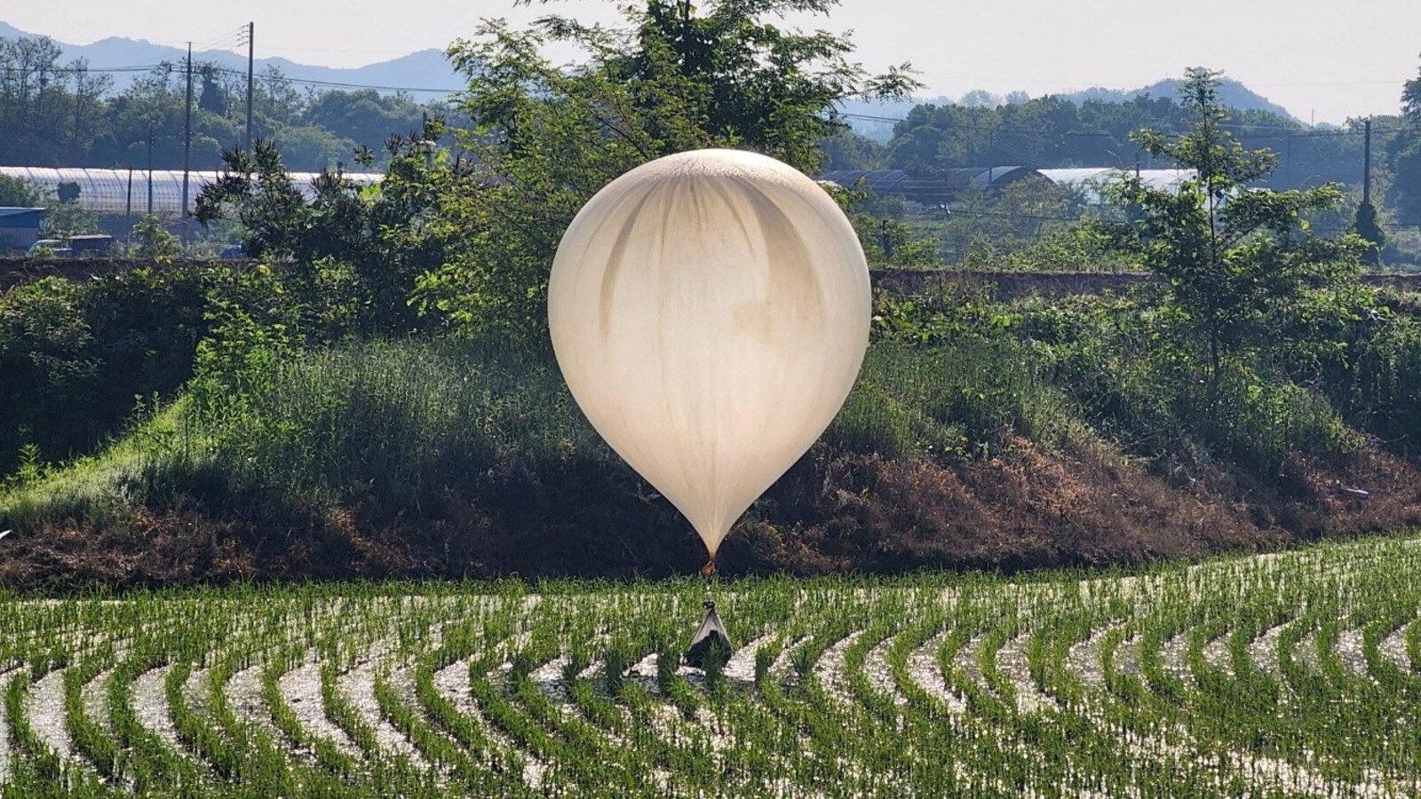 North Korea vows to pause trash-balloon campaign after floating 3,500 ...