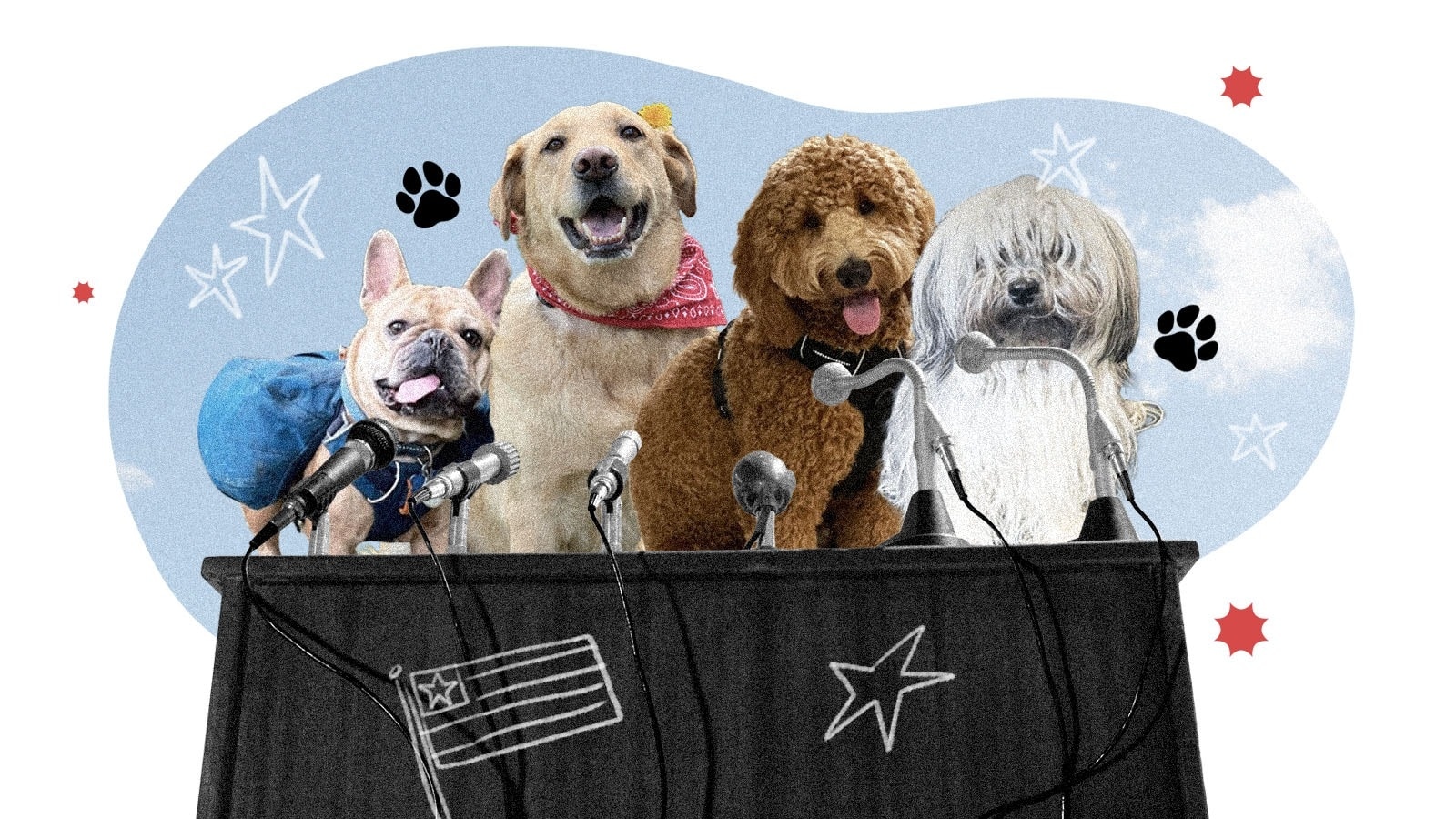 Quiz: How well do you know the top dogs of politics? - ABC News