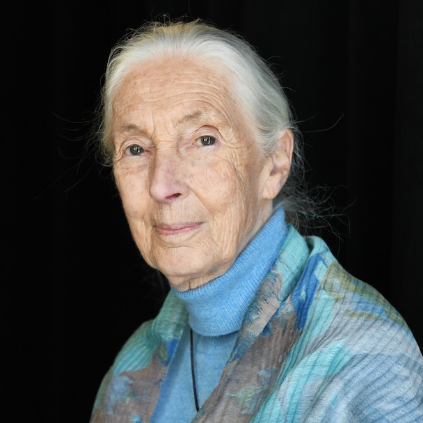 What Jane Goodall said in her last video message before her death ...