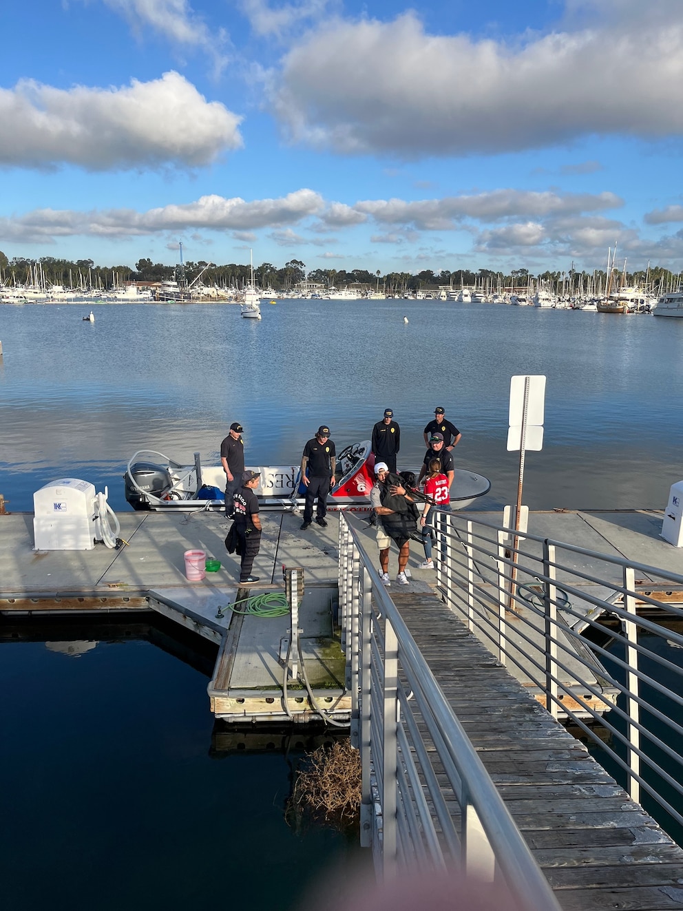 AirTag helps locate Labrador swept out to sea as lifeguards pull off ...