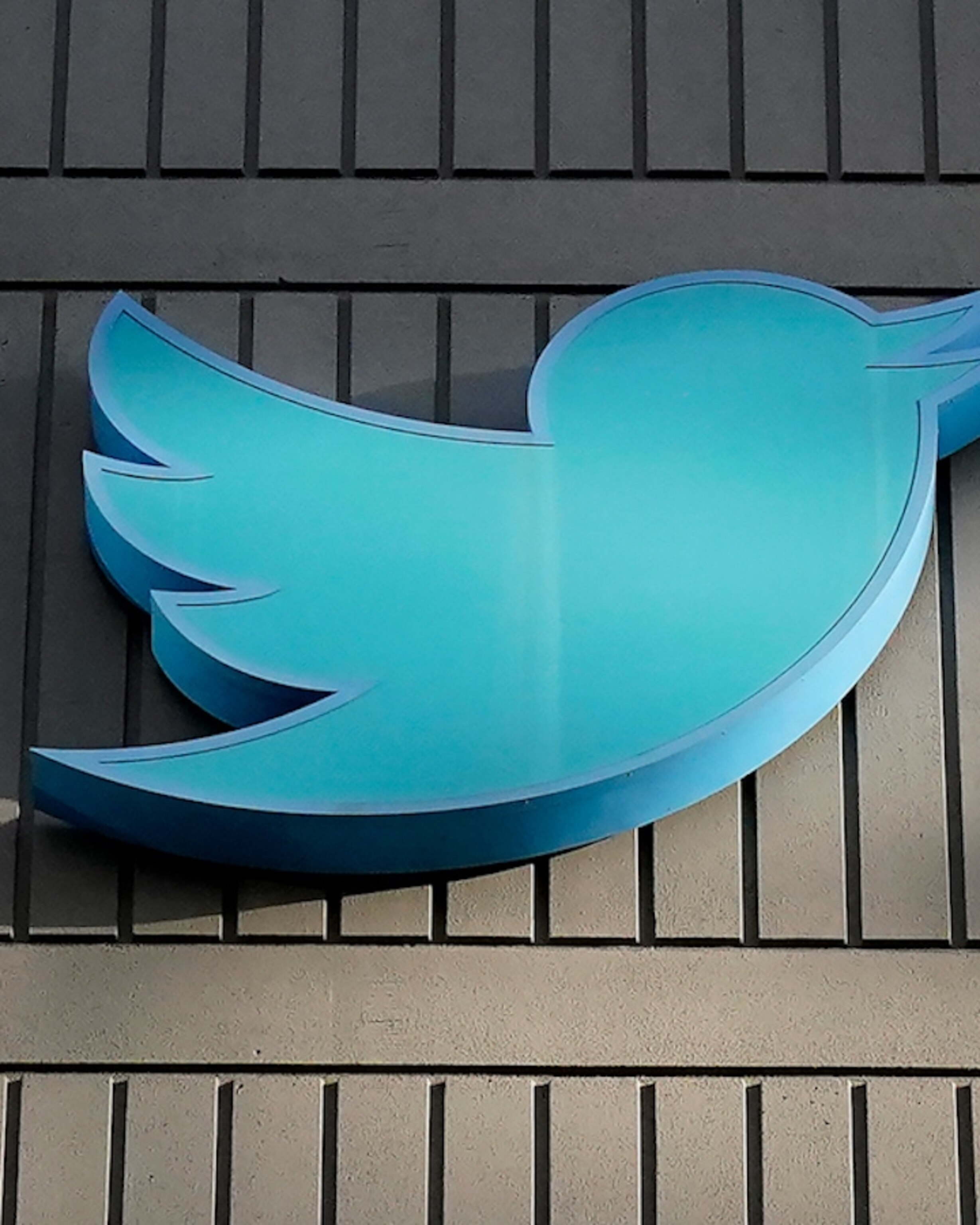 Fake Twitter Logo
